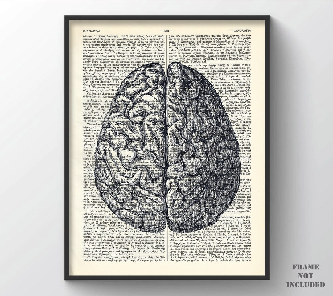 Vintage Anatomical Brain Print, Antique Giclee Poster Biology Wall Art ...