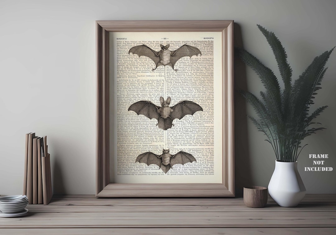 Vintage Bat Poster Anatomy Study Print Antique Giclee Bats Biology Goth ...