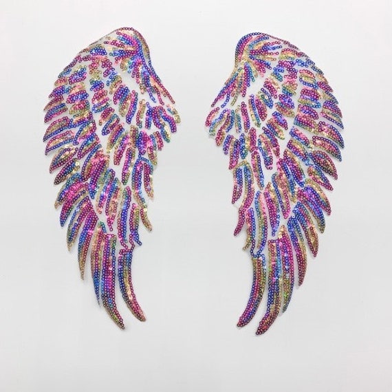 A Pair Of Rainbow Wings
