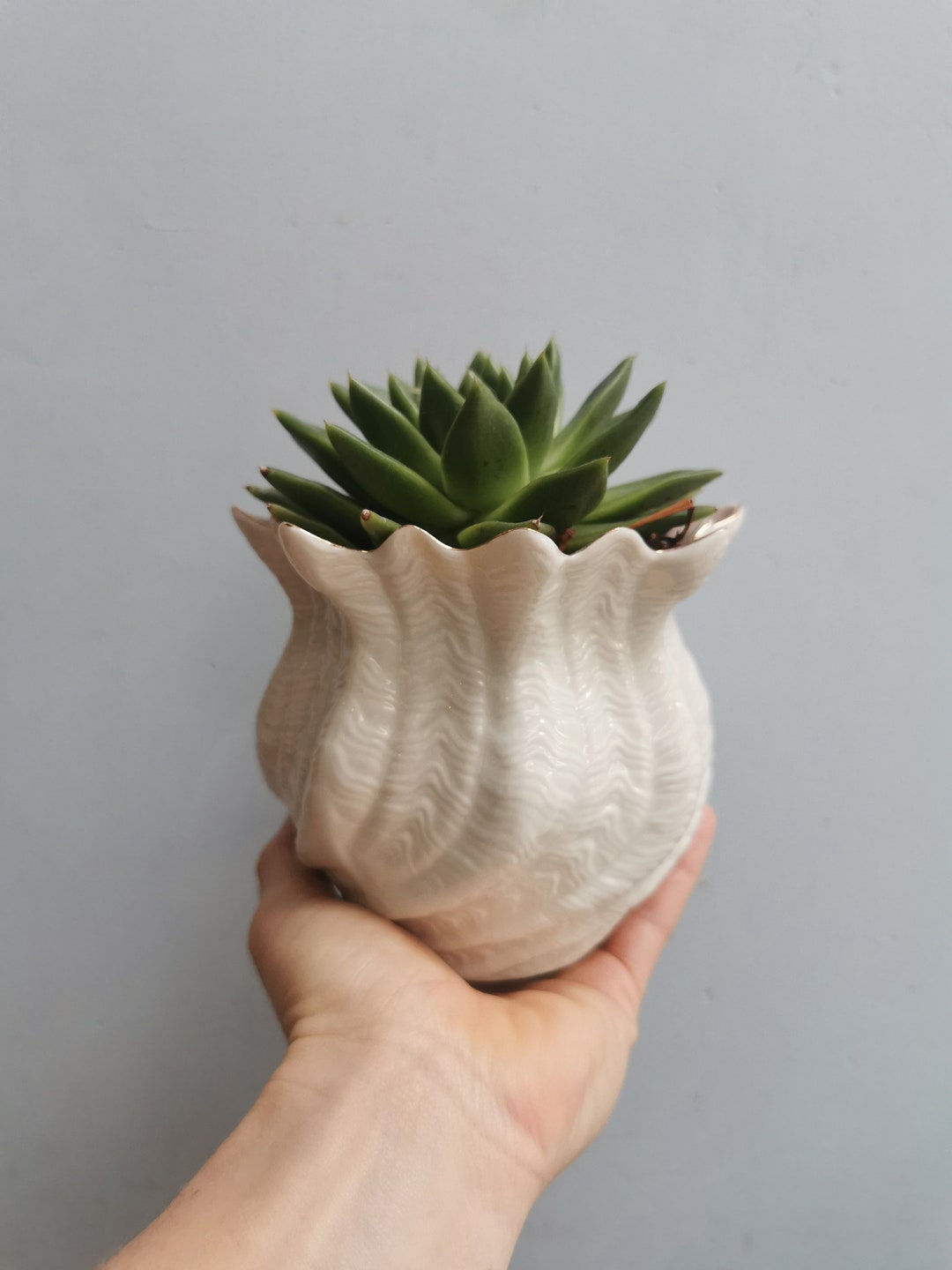 Belleek Neptune Vase - Vintage Irish China Pottery - Etsy