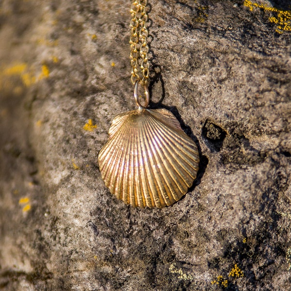 Scallop Shell Necklace - Etsy
