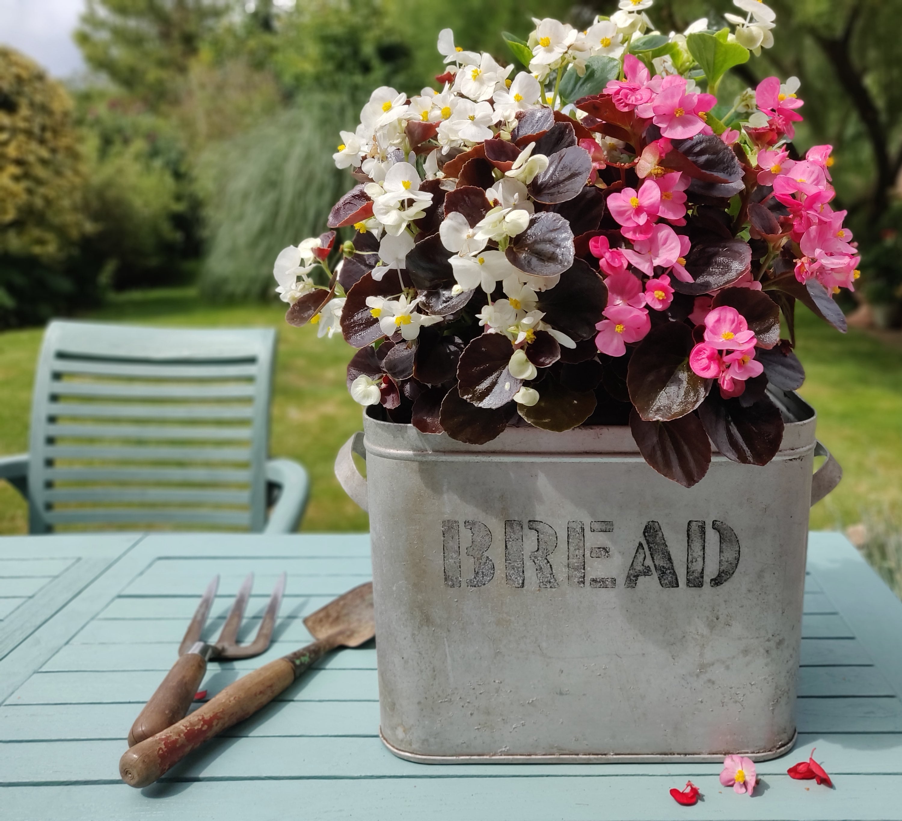 Vintage Metal Bread Bin. Herb Garden/planter. Stencilled Aluminium ...