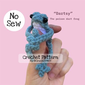 Dartsy the Poison Dart Frog/ No SEW, Super Quick Project. Crochet ...