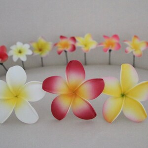 Plumeria Hair and Ear Flower Pick | Tropical Hawaiian Pua - Etsy