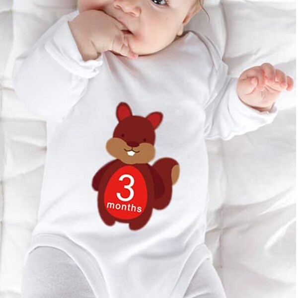 Baby Age Stickers - Etsy