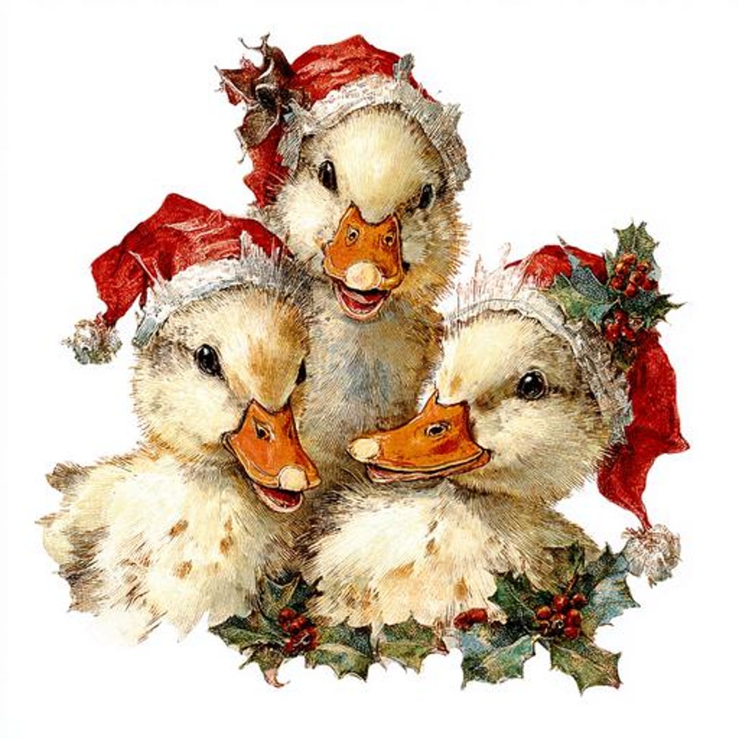 8 Santa Ducks Clipart, Ducklings Christmas Clipart Kids Download ...