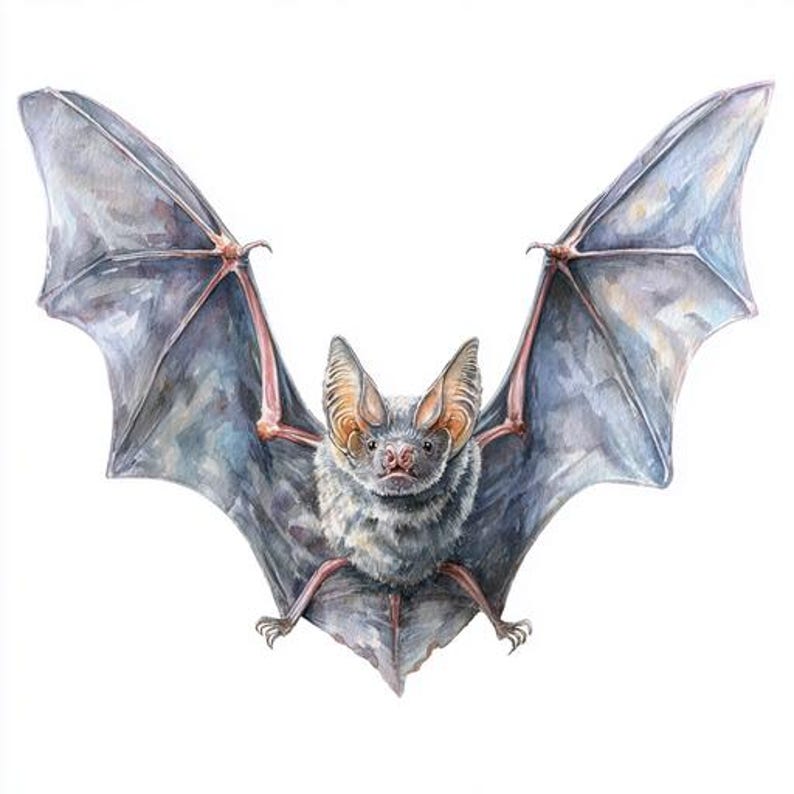 8 Fantasy Botanical Bat Clipart, Watercolor Printable, Scary Animals ...