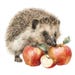 7 Hedgehog Clipart Eating Apples, Watercolor Printable, Card Making ...