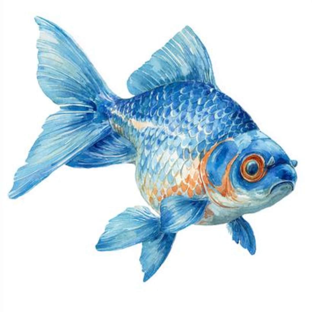 8 Blue Fish Clipart Images Outline Line Art Printable Watercolor Fish ...