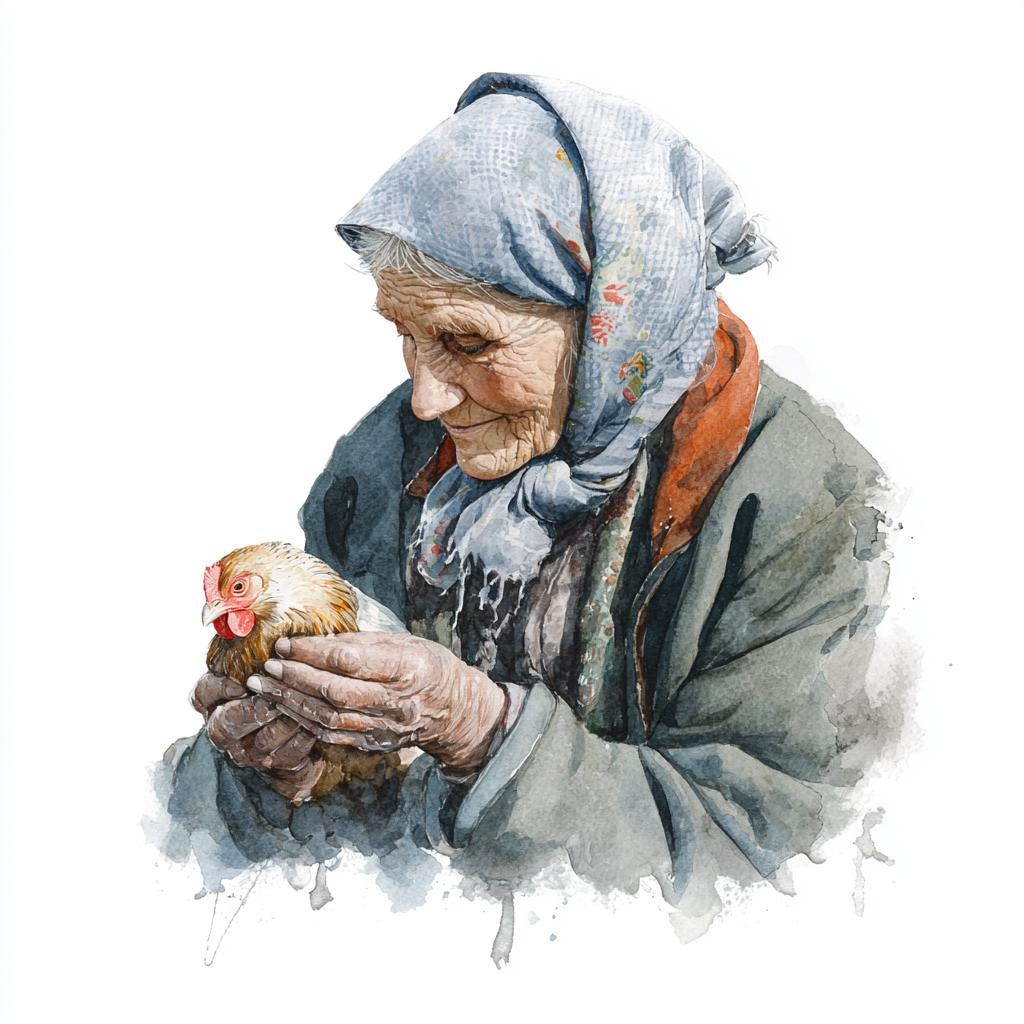 8 Old Farm Lady Clipart Vintage Grandma With Chicken Rustic Village ...