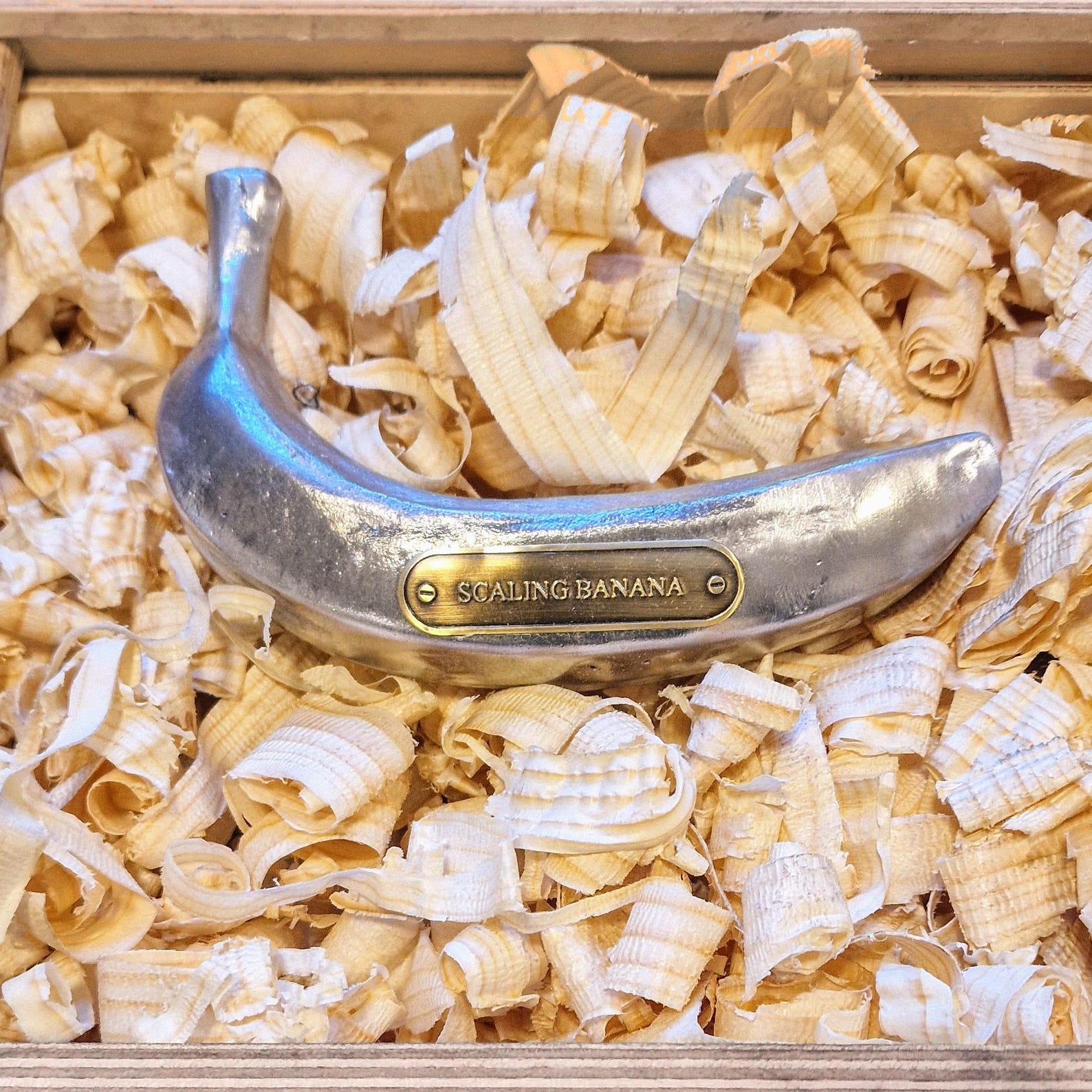 Scaling Banana - Official and Calibrated Banana for Scale - Solid ...
