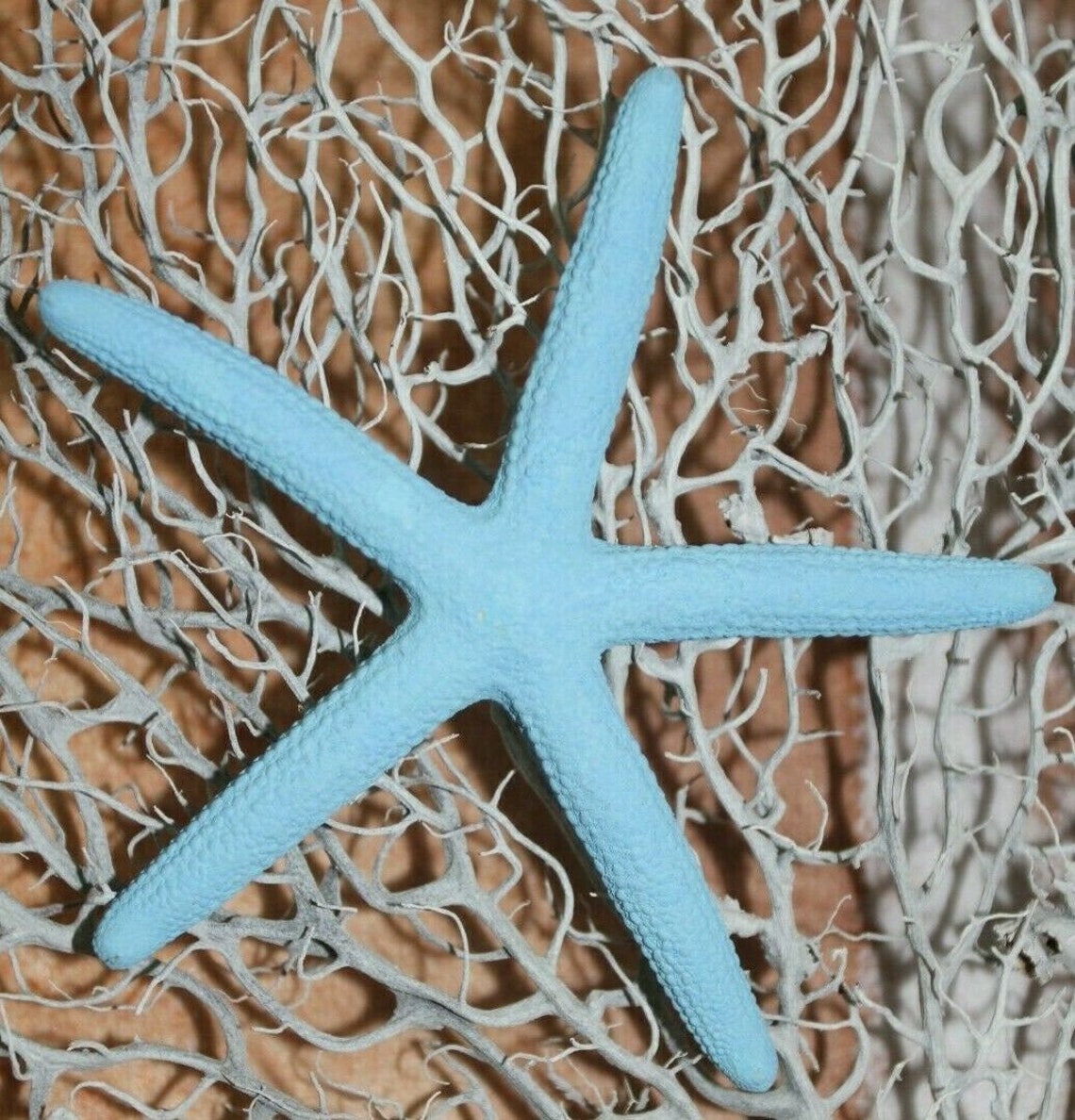 Natural Starfish Aqua Blue / Sea Foam Colors for Beach Wedding | Etsy