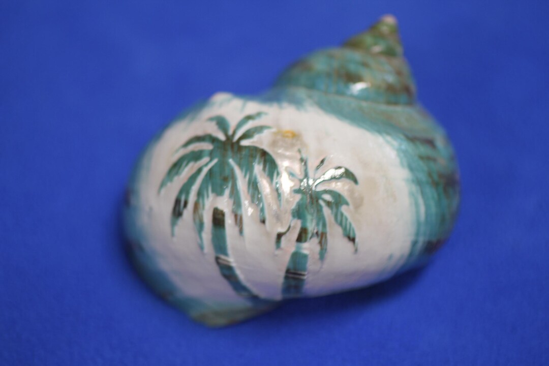 CARVED Seashells,palm Trees,island Decor,large Turbo Seashells,all ...