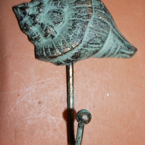 Antiqued Look Seashell Wall Hook, Seashell Coat Wall Hook, Seashell ...