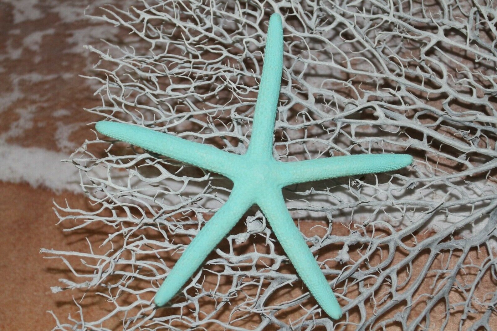 Natural Starfish Aqua Blue / Sea Foam Colors for Beach Wedding - Etsy