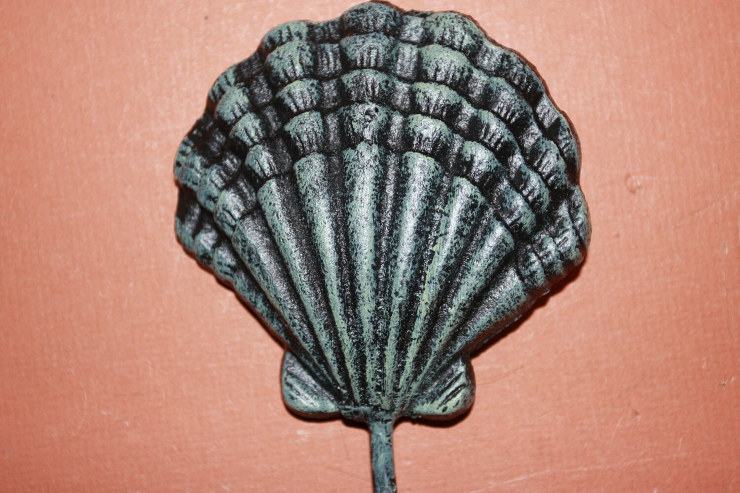 2 LARGE SEASHELL Cast Iron Wall Hook Seashell Wall Decor | Etsy