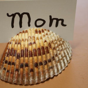 Ocean Theme Reception Dinner Tabletop Decor Seashell Name Place ...