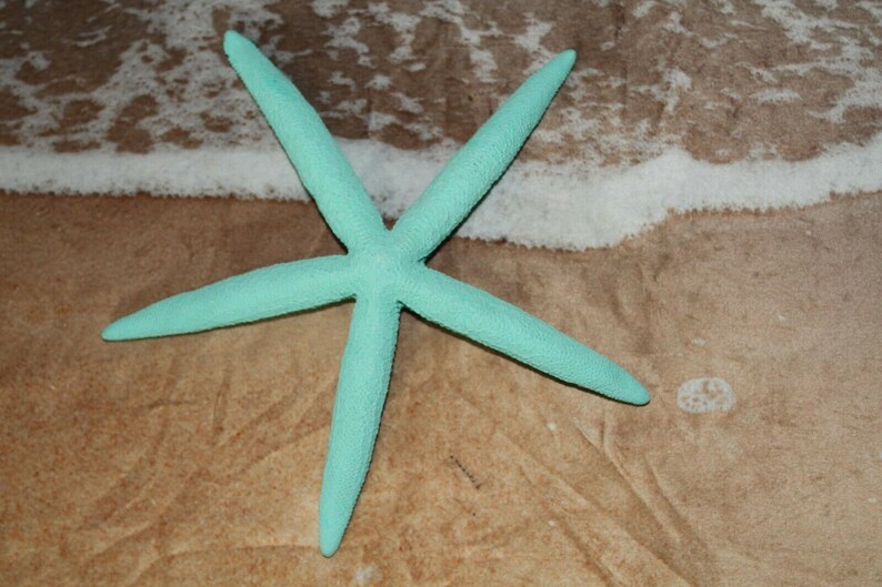 Beach Wedding Large Finger Starfish Decor Naturally Dyed - Etsy