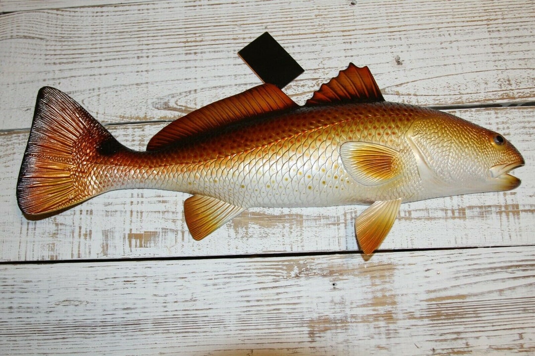Redfish Replica Display for Crafts, Ultra Realistic and Species Correct ...