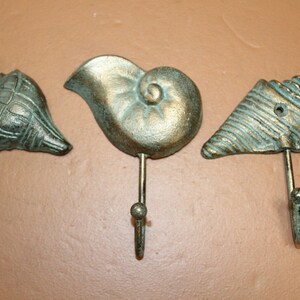 Bronze Look Seashell Towel Hooks Set, Nautical Touch, Free Ship - Etsy