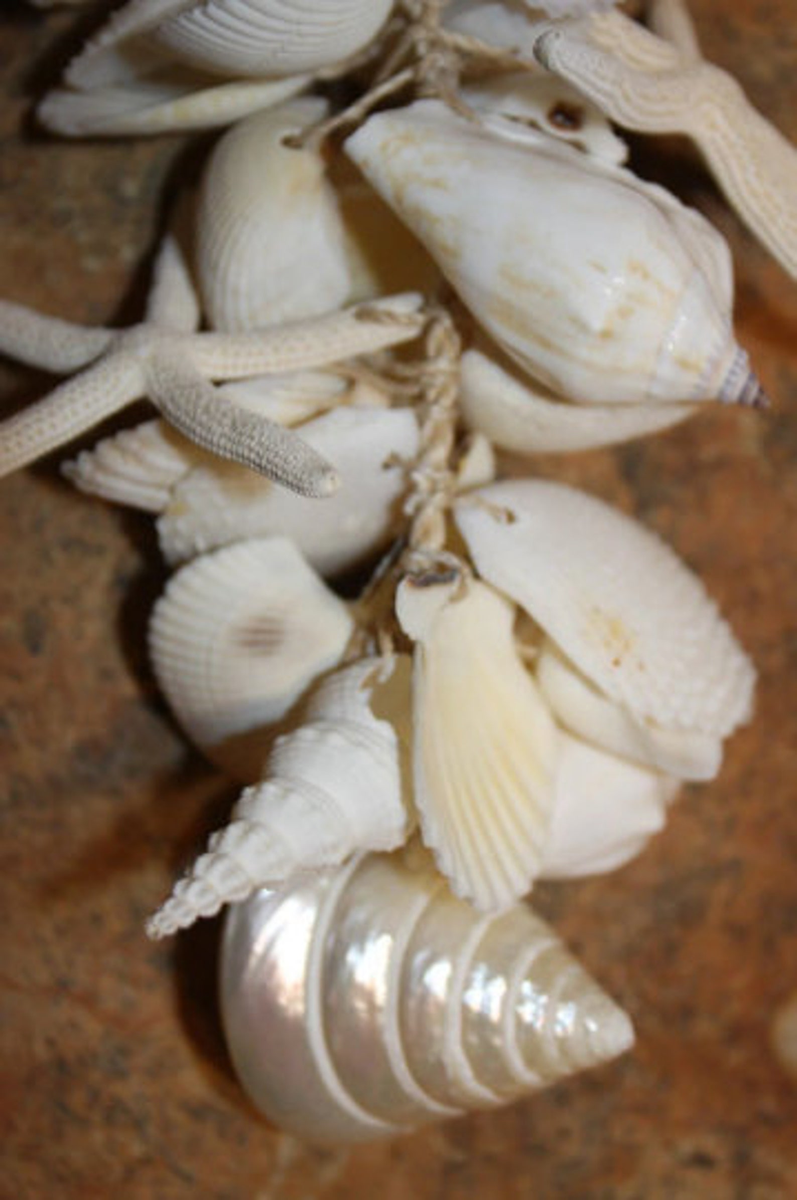 White Seashells Patio Mobile Beach Affair G-01 - Etsy