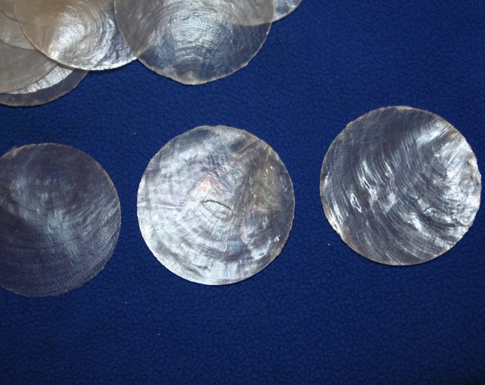 Capiz Shell, Seashells, Shells, Craft Shells, Shells, Coastal Decor ...