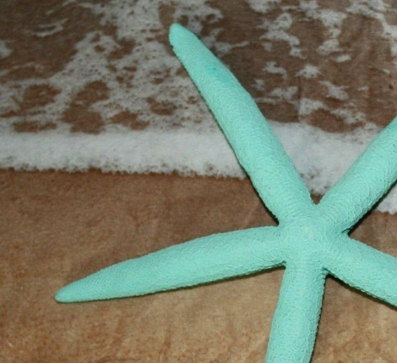 Beach Wedding Large Finger Starfish Decor Naturally Dyed - Etsy