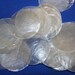 Round Capiz Shells Small Sizes 1 Inch for Seashell Crafts CPZ-1 - Etsy