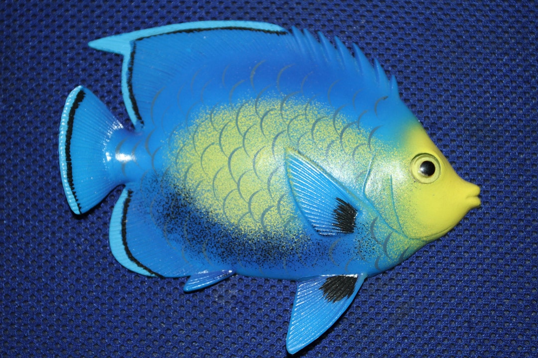 6 Inch Species Correct Hanging Tropical Fish, Wreath & Netscape ...