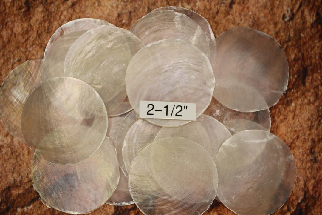 CAPIZ SEASHELLS, 2-1/2 Inch Mosaic Craft Supply, Sailors Valentines ...