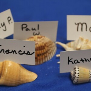 Ocean Theme Reception Dinner Tabletop Decor Seashell Name Place ...