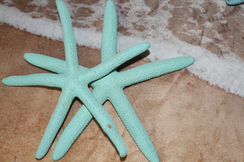 Beach Wedding Large Finger Starfish Decor Naturally Dyed - Etsy