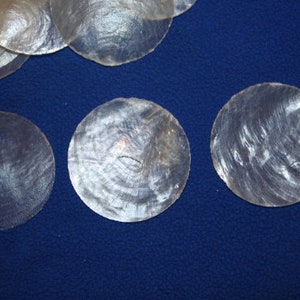 Round Capiz Shells Small Sizes 1 Inch for Seashell Crafts CPZ-1 - Etsy
