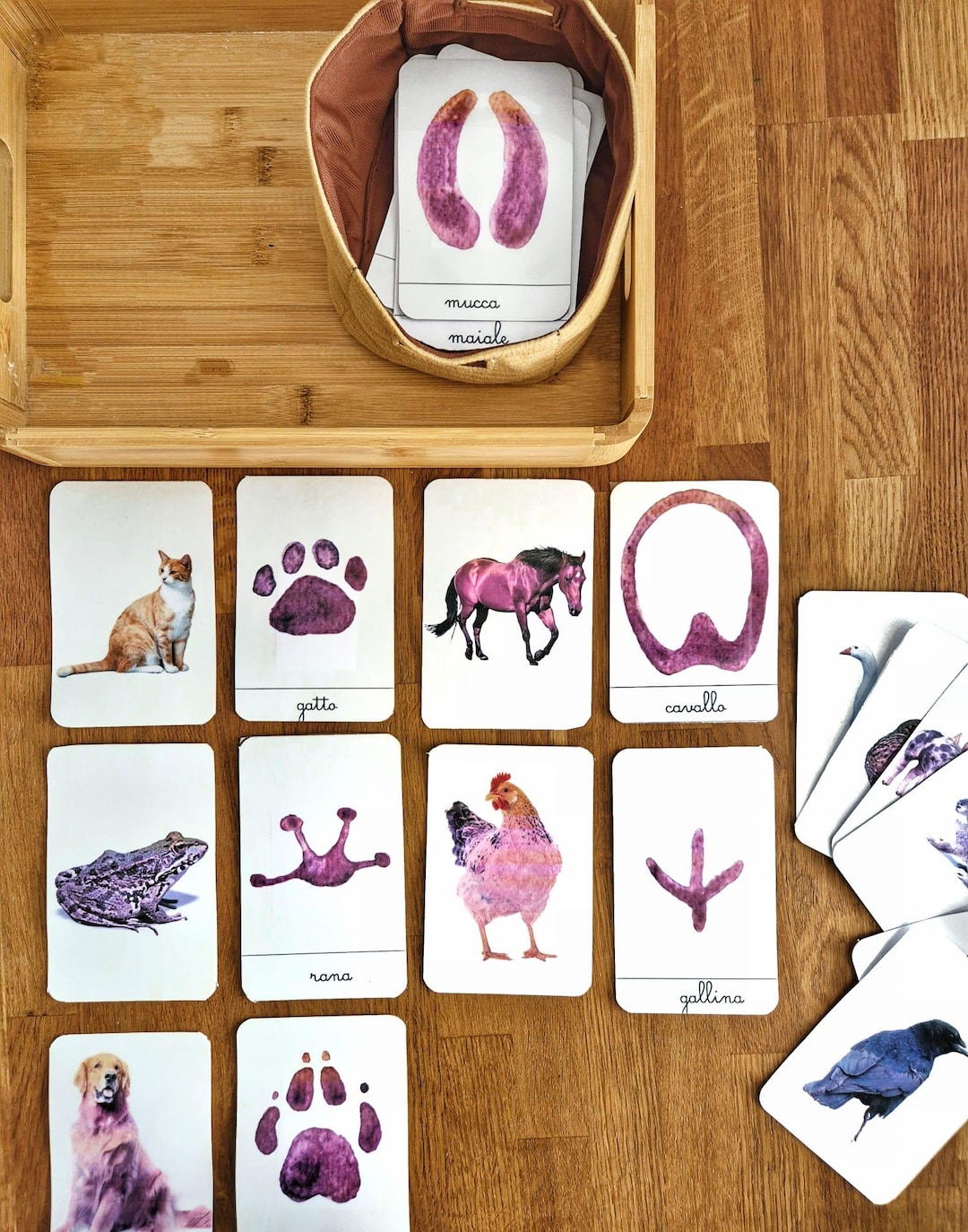 Montessori Type Nomenclature Cards Farm Animal Footprints, Flash Cards ...