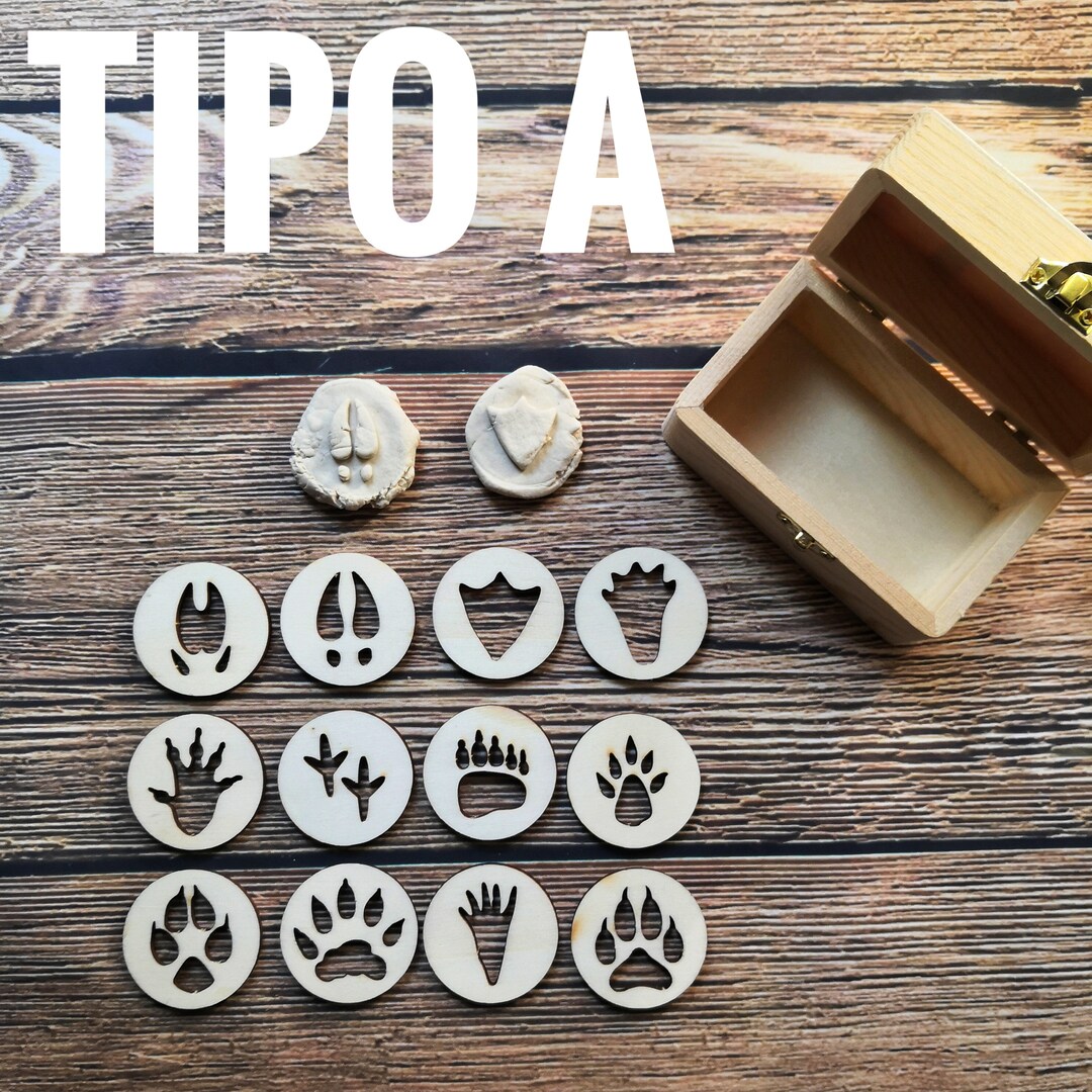 Forest Animal Footprints Game Footprint Recognition Games - Etsy