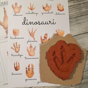 Dinosaur Nomenclature Cards, Montessori-style Cards, Dinosaur ...