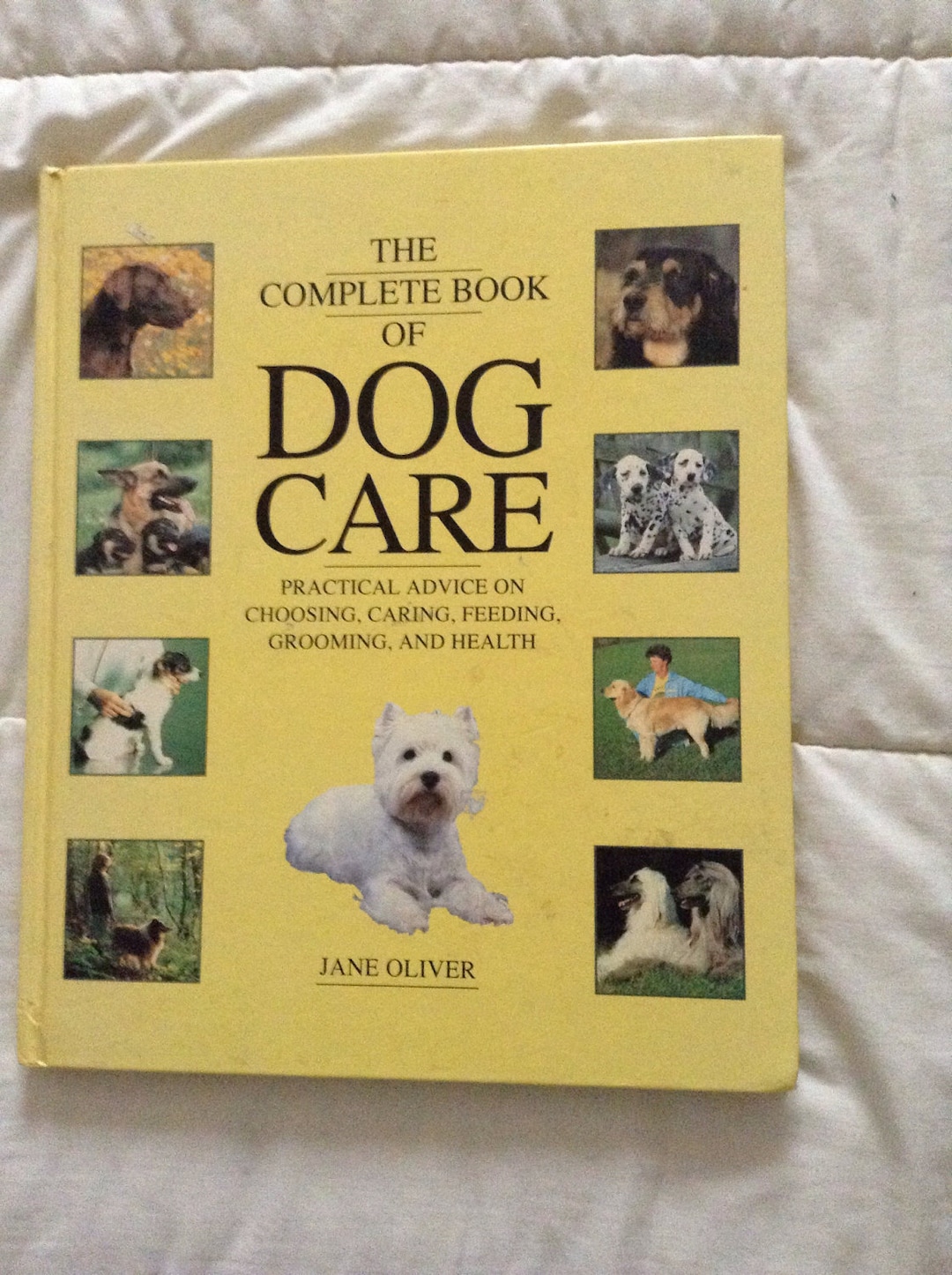 The Complete Book of Dog Care *** Practical Advice on Choosing Caring ...