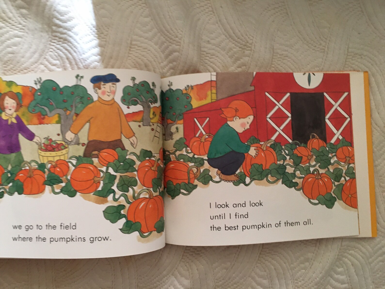 Apples and Pumpkins by Anne Rockwell & Lizzy Rockwell - Etsy