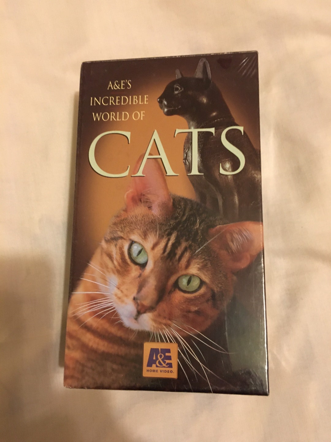 Cats Incredible World Of Cats Aande Home Vhs Video Set Etsy