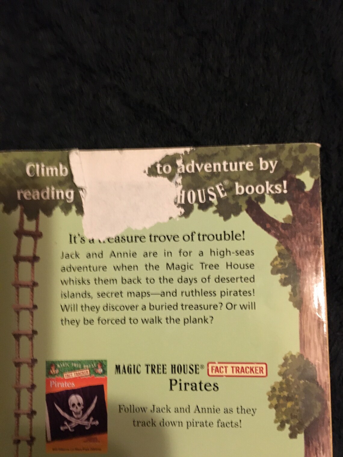 Magic Tree House Childrens Book Volume 4 Pirates Past Noon | Etsy