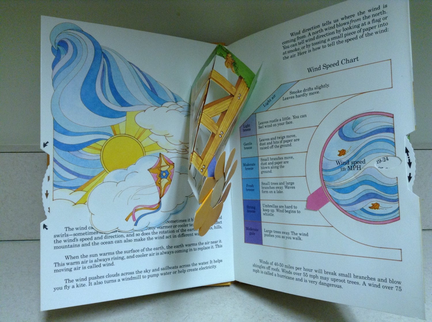 How the Weather Works A Science Action Pop-up Book Pull Tabs & - Etsy