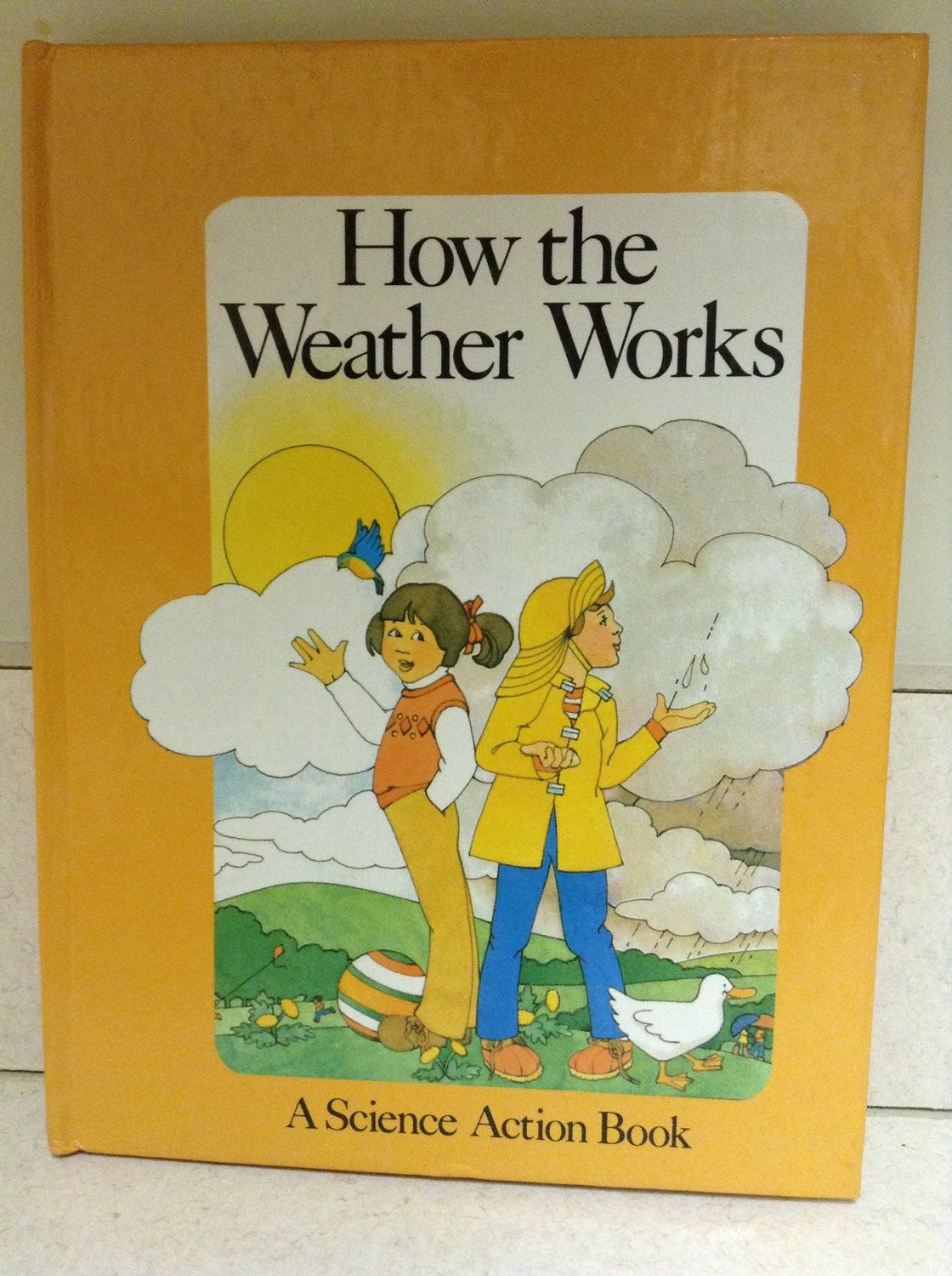 How the Weather Works A Science Action Pop-up Book Pull Tabs & - Etsy