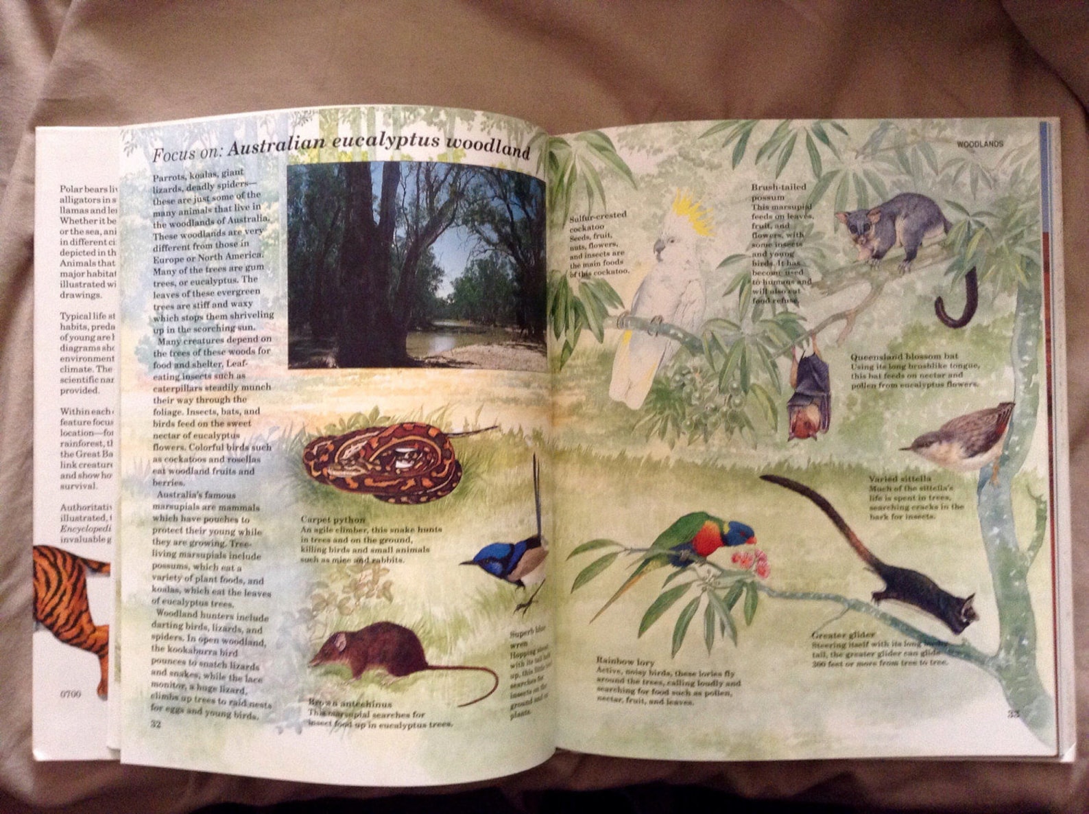 Animal Encyclopedia for Children by Roger Few Macmillan Publisher - Etsy