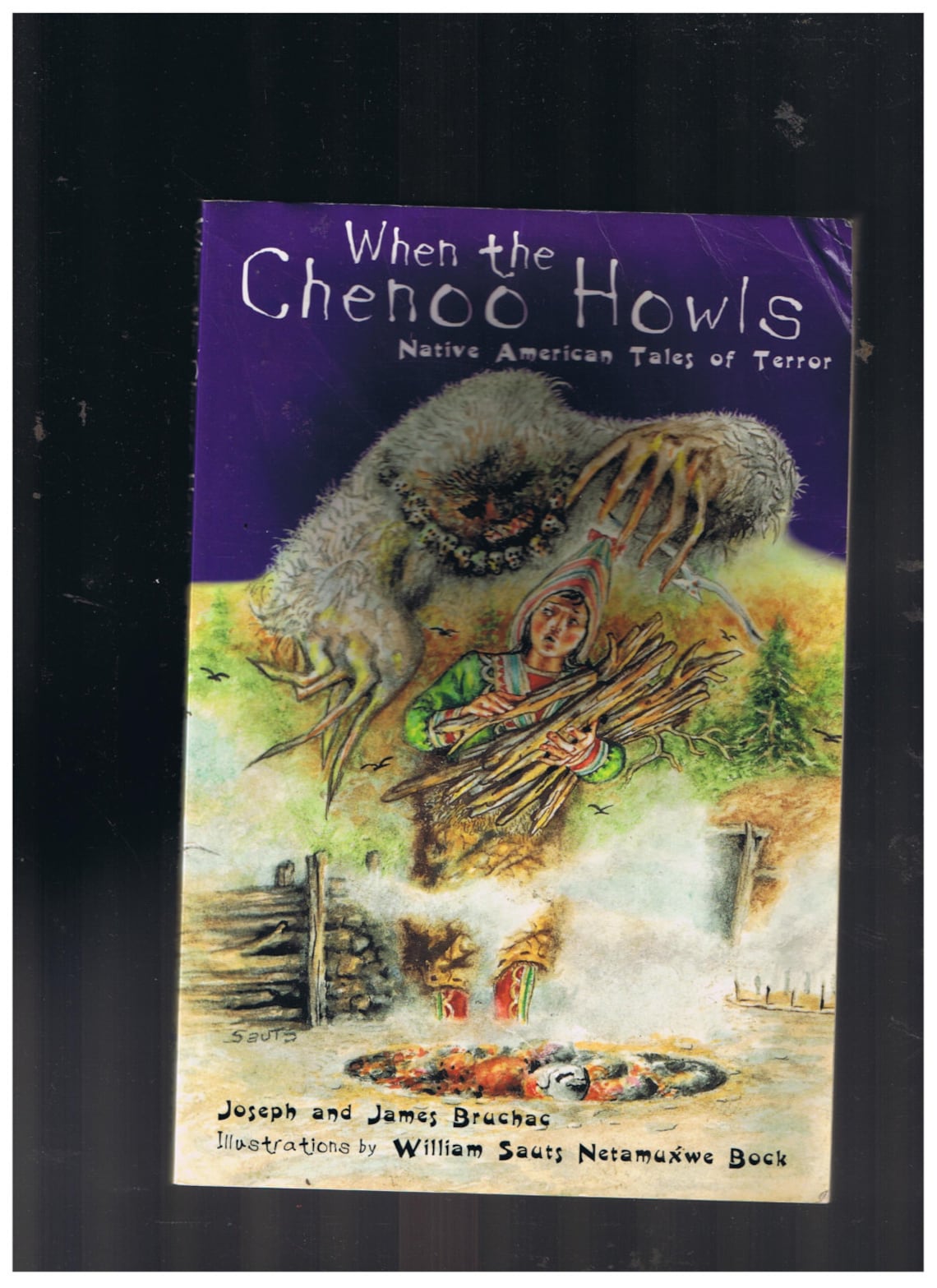 When the Chenoo Howls Native American Tales of Terror by Bruchas & Bock ...
