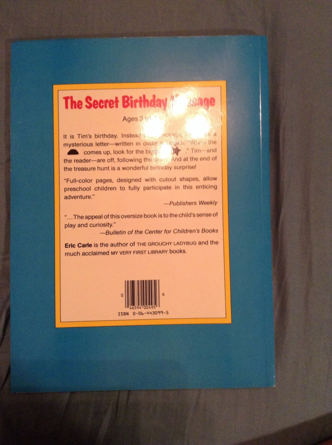 The Secret Birthday Message by Eric Carle - Etsy