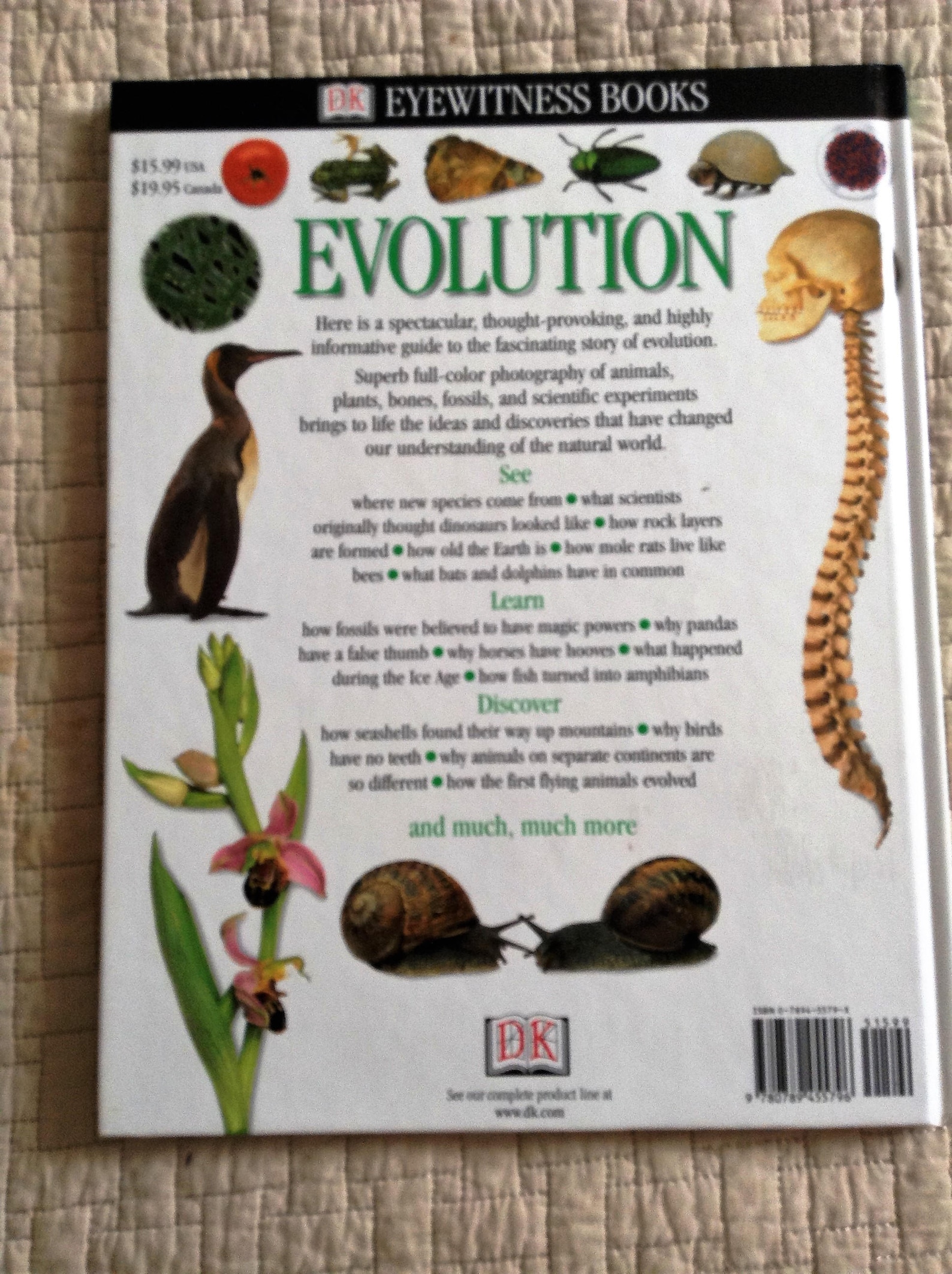 EVOLUTION Dorling Kindersley Eyewitness Book Written by Linda Gamlin - Etsy