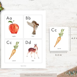 Alphabet Flashcards, Toddler Preschool Flashcards, ABC Flashcards ...