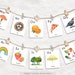Alphabet Flashcards, Toddler Preschool Flashcards, ABC Flashcards ...