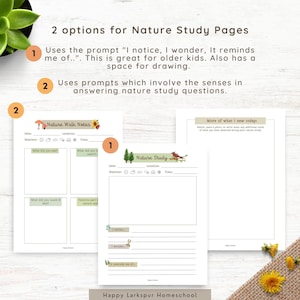 Charlotte Mason Nature Study, Nature Journal for Kids, Charlotte Mason ...