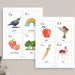 Cursive Alphabet Flashcards, Toddler Preschool Flashcards, Cursive ABC ...